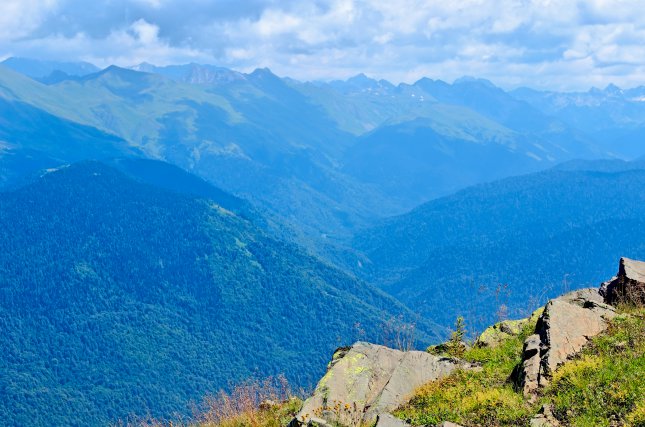 Sotsi, Venäjä | Napsu