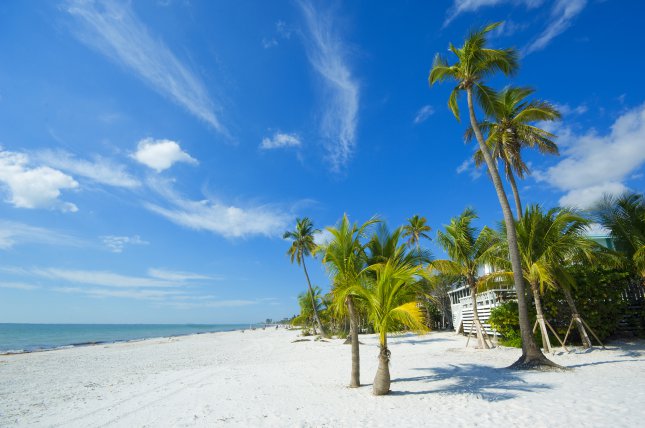 Florida, Yhdysvallat (USA) | Napsu