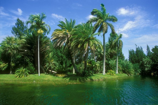 Florida, Yhdysvallat (USA) | Napsu