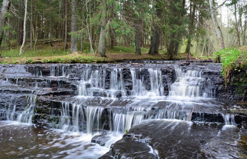 Laulasmaa, Viro | Napsu