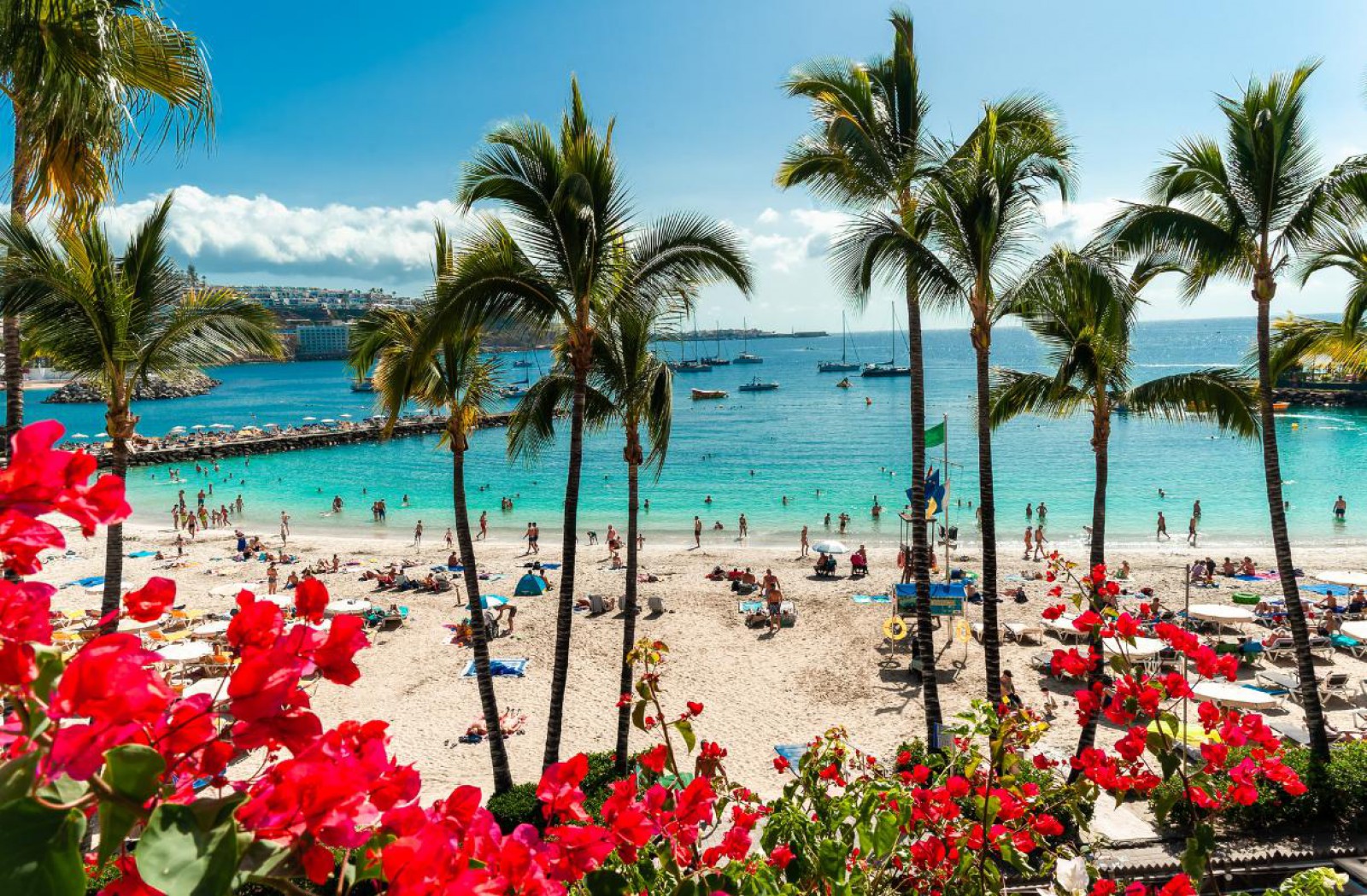 Syksyn halvimmat matkat tulevat tässä! Katso tarjoukset – viikko alk ...